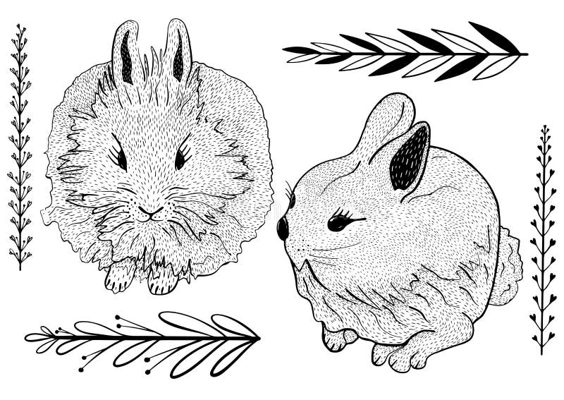 Hand Drawn Cute Bunnies Set. Hatching Doodle Style Stock Illustration ...