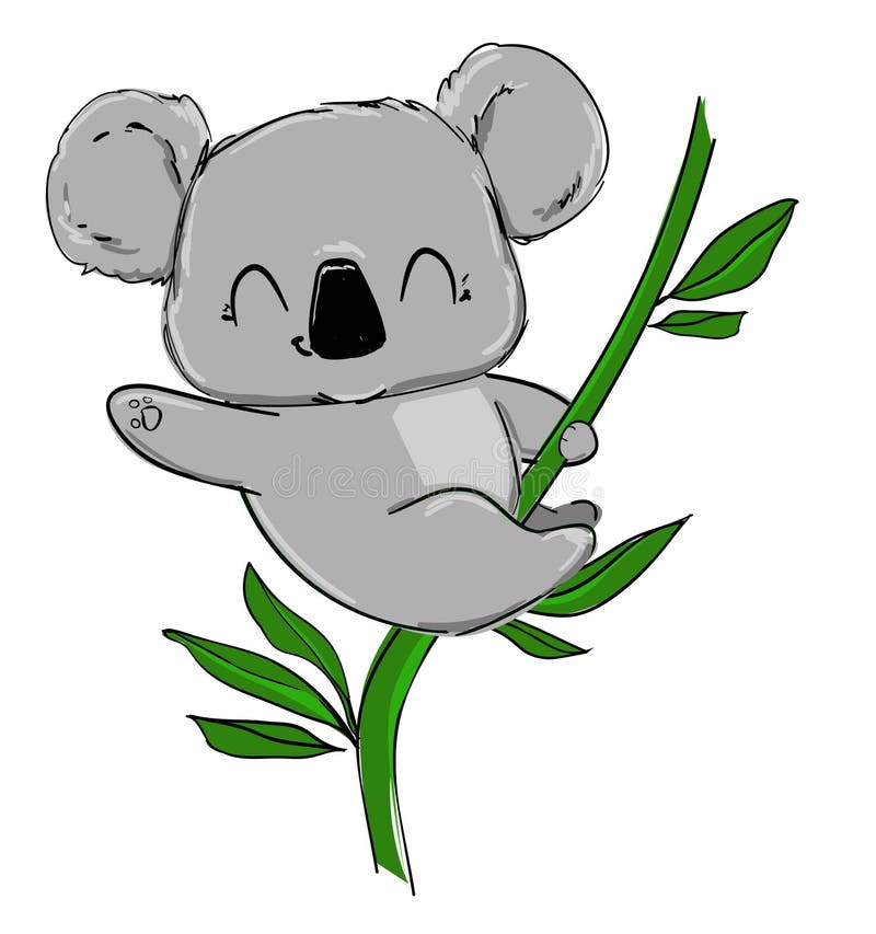Cute Koala Drawing