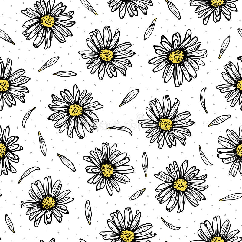 Hand-drawn Daisy Flowers with Petals. Non Directional Seamless Pattern ...