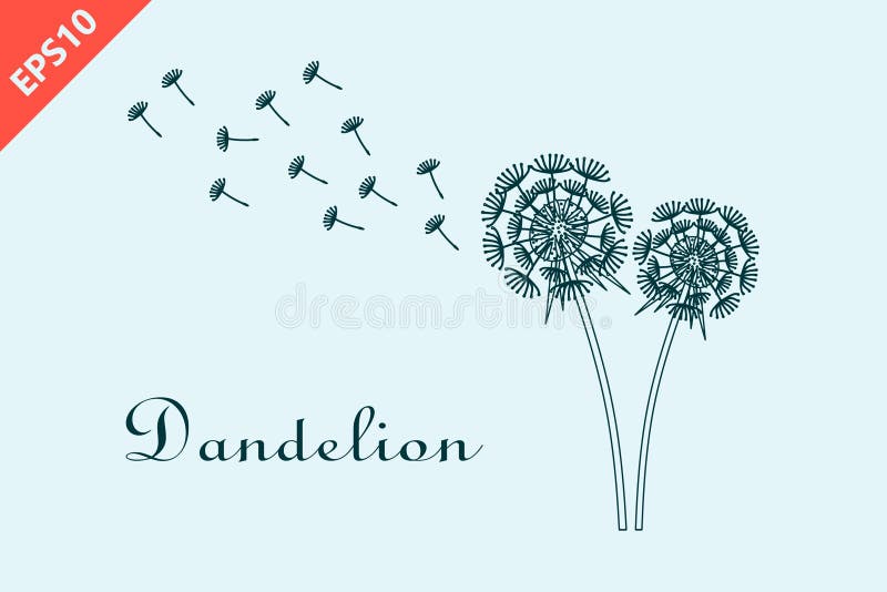 Hand Drawn Dandelion with Flying Seeds, Dandelions Design Vector Flat ...
