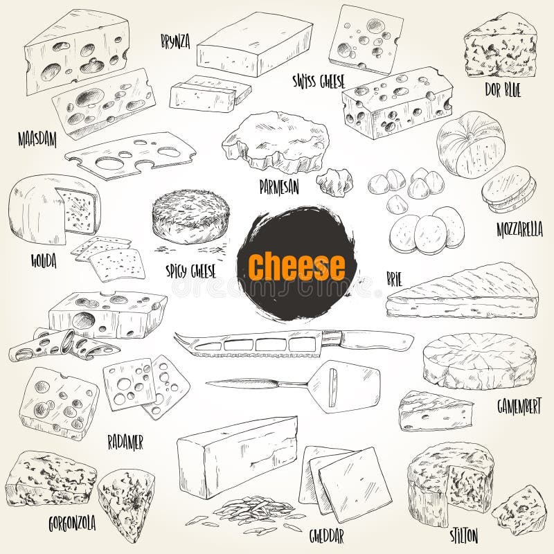 Hand Drawn Different Types of Cheese Collection Editorial Image ...