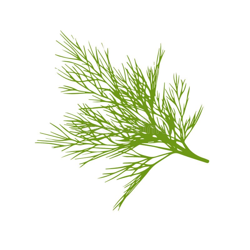 Set of Dill Isolated on White Background. Hand Drawn Ill Stock ...