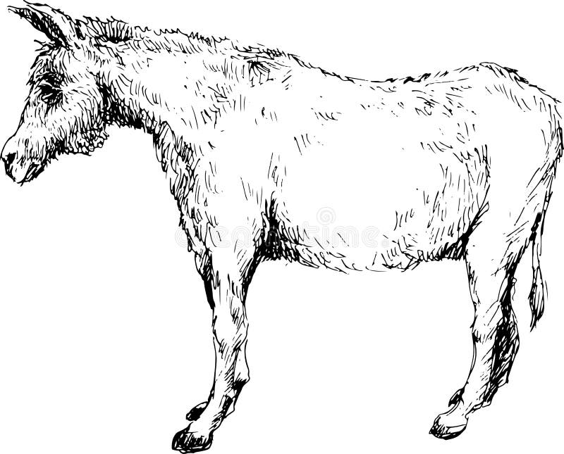 Donkey Run Stock Illustrations – 166 Donkey Run Stock Illustrations ...
