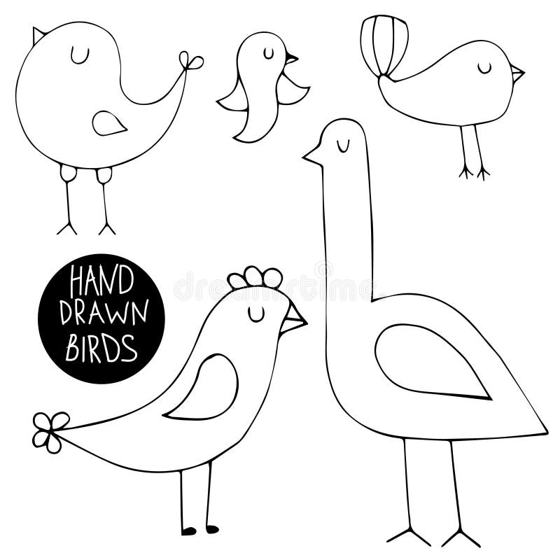 Hand Drawn Doodle Birds Set. Abstract Vector Collection Stock Vector ...