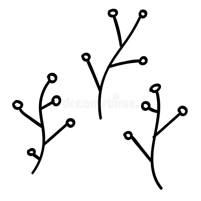 Hand Drawn Doodle Botanical Elements Three Branches. Stock Vector ...