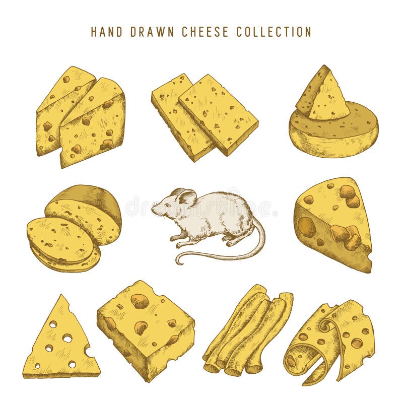 Hand Drawn Doodle Cheese Set Vector Vintage Illustration. Stock Vector ...