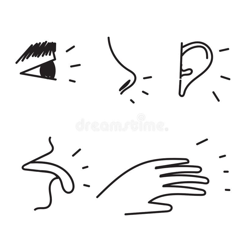 Hand Drawn Doodle Five Senses Vector Icon Illustration Set Stock Vector ...