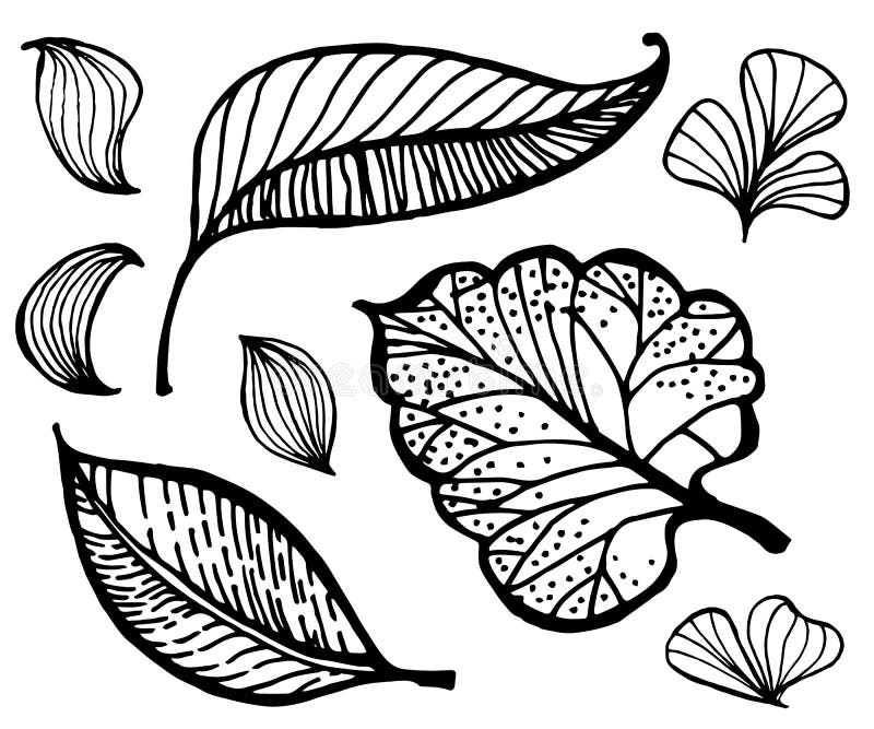 Doodle ink leaf pattern stock illustration. Illustration of shape ...