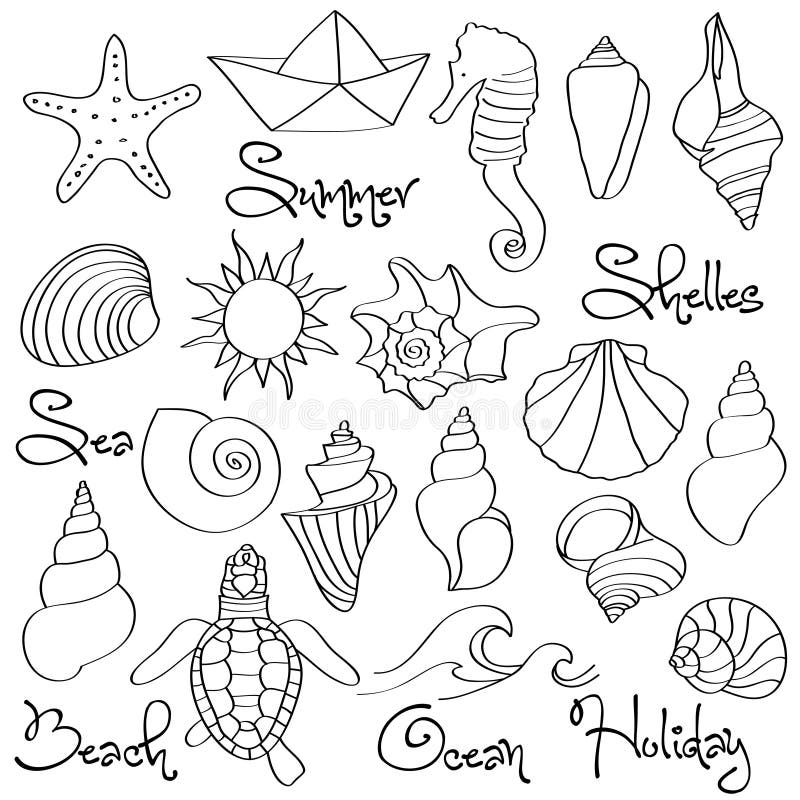 Hand Drawn Doodle Seashells and Sea Elements Set Stock Vector ...