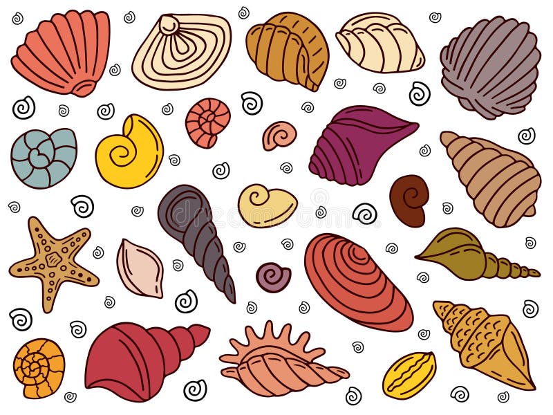 Set with doodle seashells stock vector. Illustration of life - 111701482
