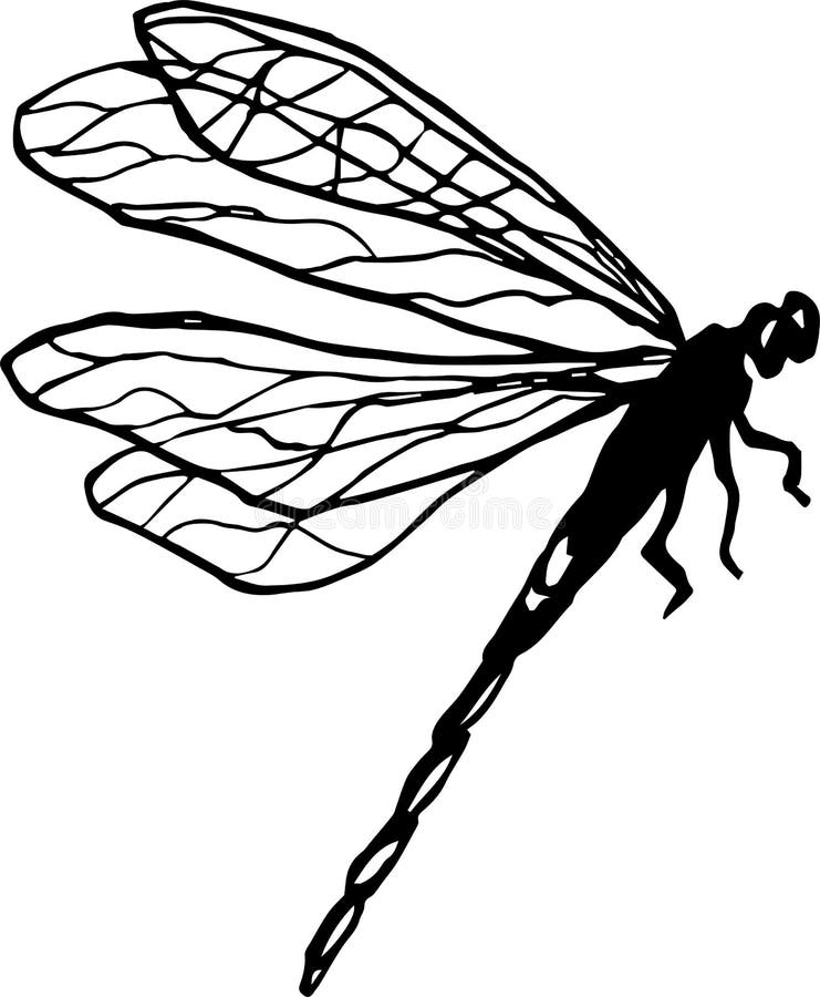 Hand Drawn Doodle Sketch of Dragonfly Stock Vector - Illustration of ...