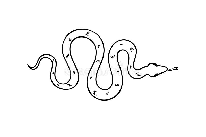 Hand Drawn Doodle Snake Top View Icon. Outline Drawing Isolated Snake ...