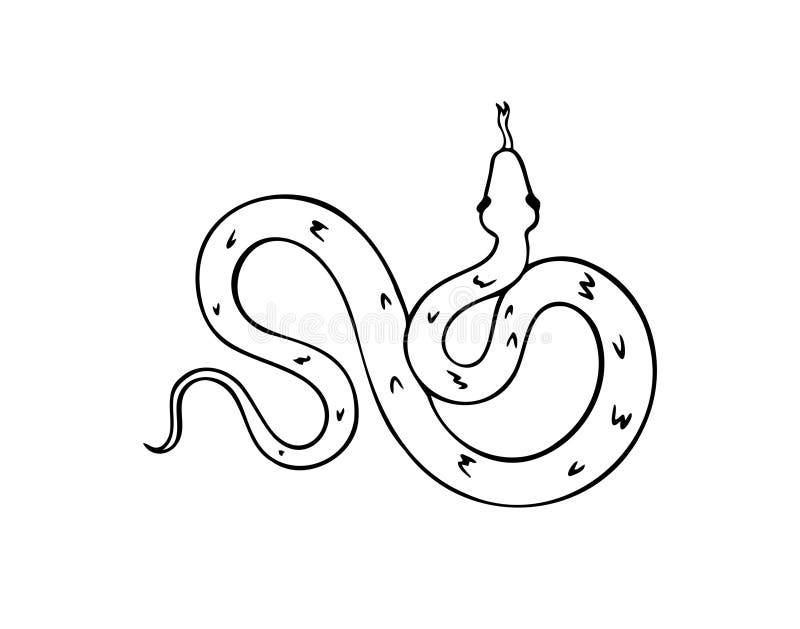 Hand Drawn Doodle Snake Top View Icon. Outline Drawing Isolated Snake ...
