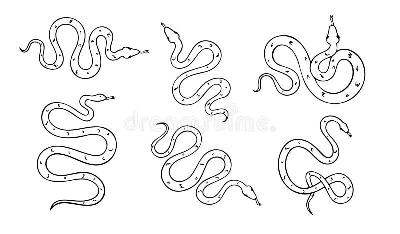 Hand Drawn Doodle Snake Top View Icon Set. Outline Drawing Isolated ...