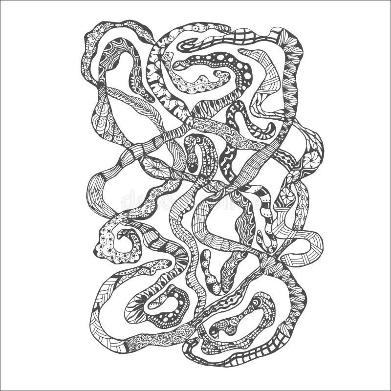 Hand drawn Doodle Tapeworm stock vector. Illustration of drawing - 61328681