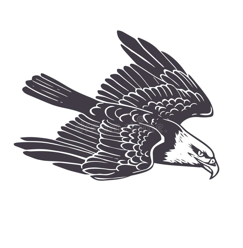 Hand drawn eagle. stock vector. Illustration of bird - 65369200