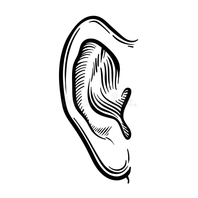 Black And White Cartoon Ear