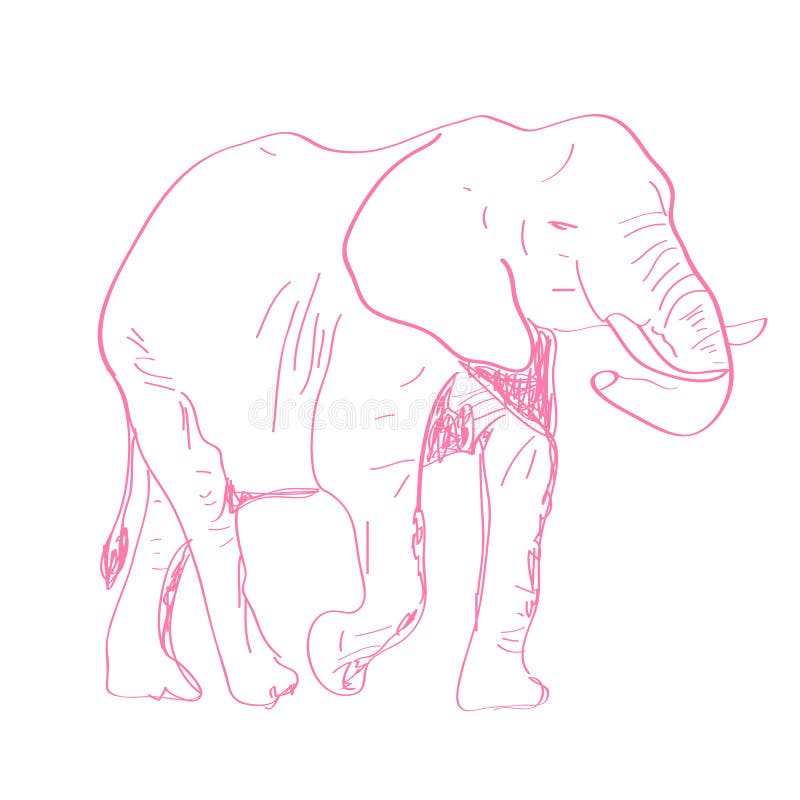 Hand drawn elephant stock illustration. Illustration of hand - 34777400