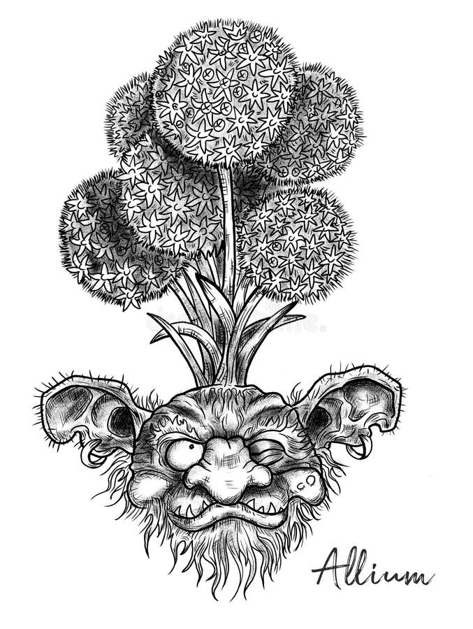 Hand Drawn Engraved Illustrations with Funny Demon or Gnome Face Stock ...