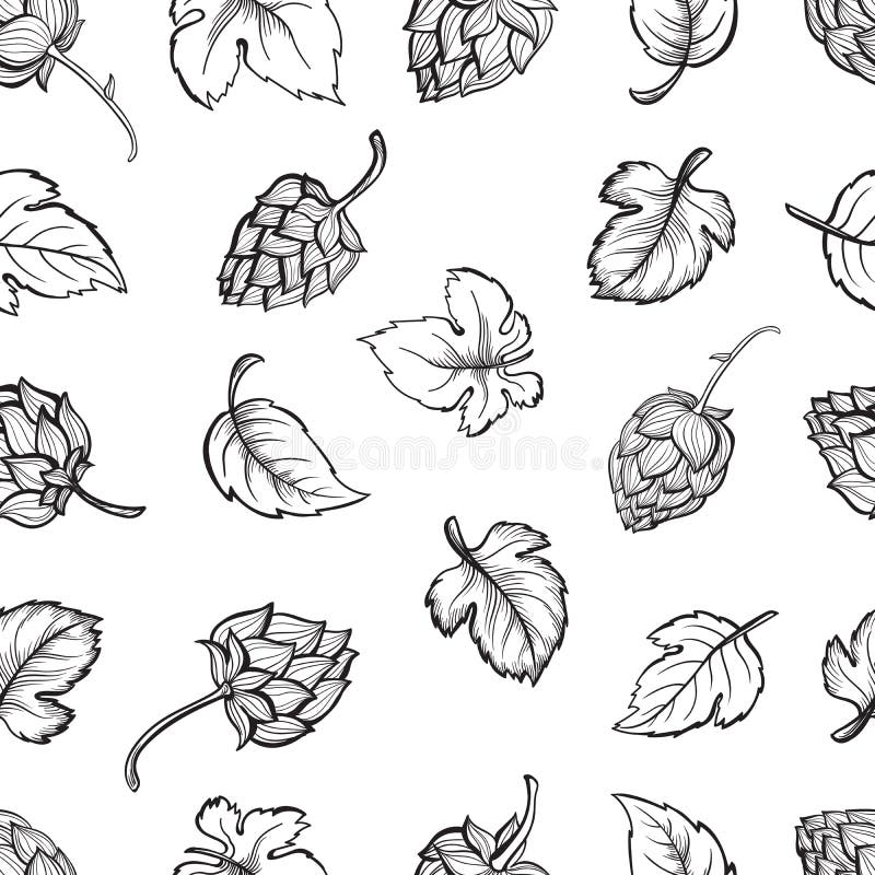 Hops Drawing Stock Illustrations – 1,877 Hops Drawing Stock ...