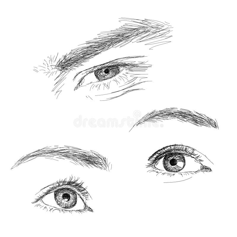 Hand drawn eyes stock vector. Illustration of look, doodle - 29724476