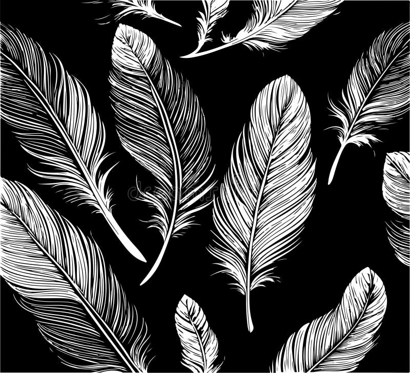 Feather Hand Draw Vector Graphic Asset Stock Illustration ...
