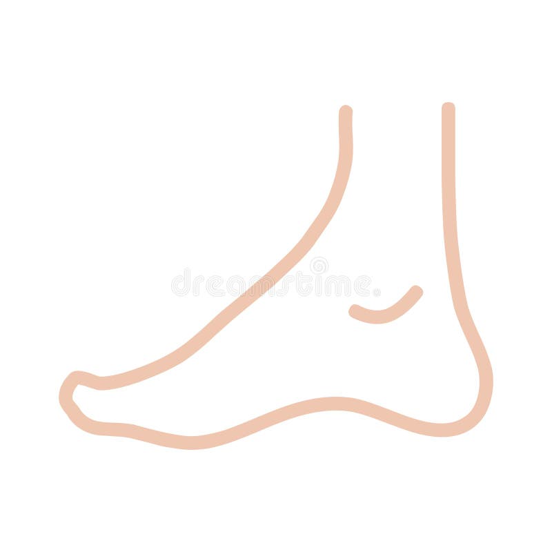 Hand Drawn Feet Ankle Line Icon Stock Vector - Illustration of woman ...