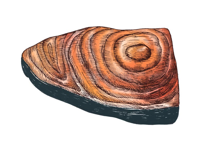 Fish Fillet on a Wooden Board. Vector Cartoon Illustration. Isolated ...