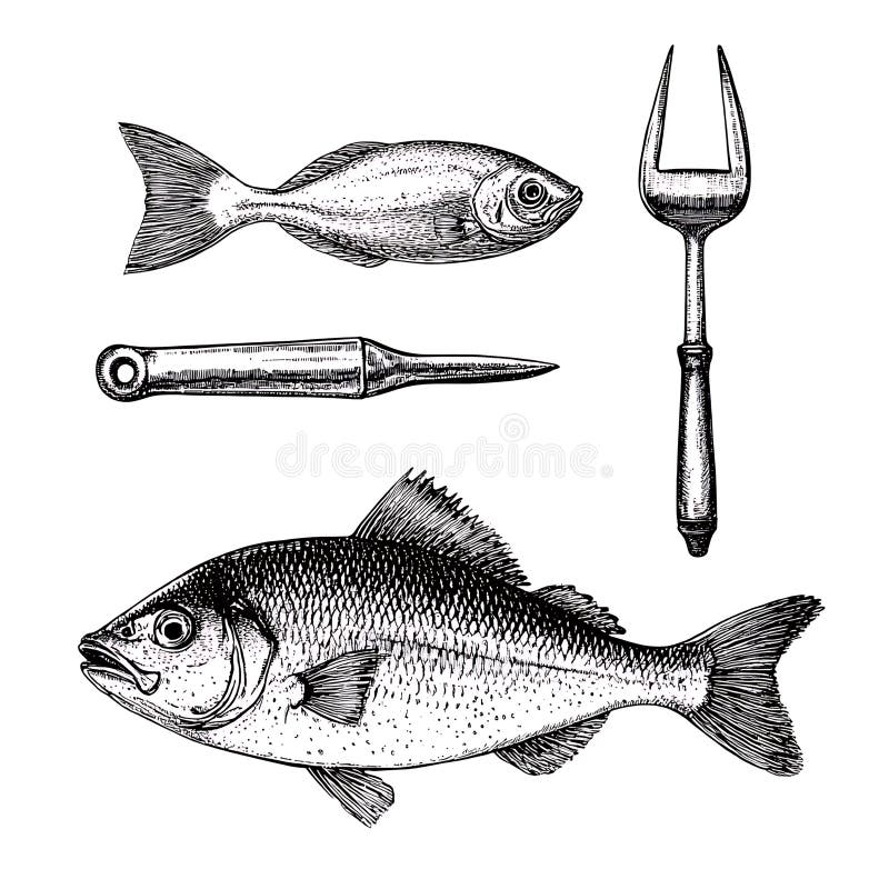 Hand-drawn Fish, Fork, and Fish Scaler Illustration Stock Illustration ...