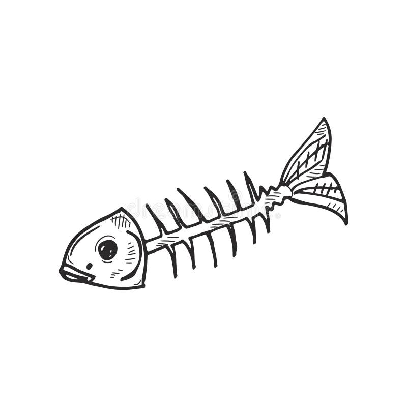 Hand drawn fish skeleton stock vector. Illustration of design - 212881642