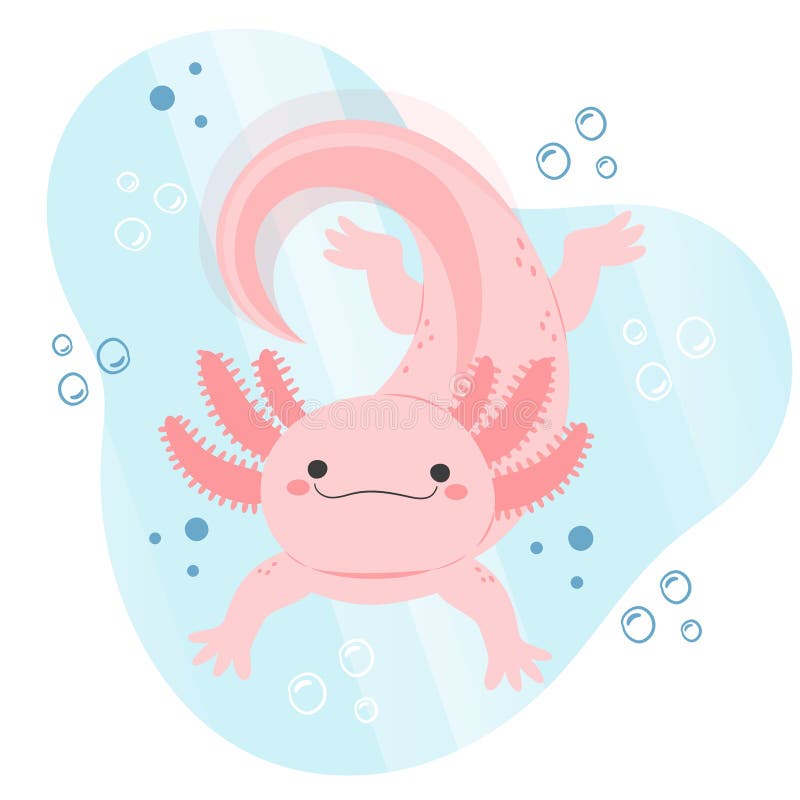 Hand Drawn Flat Ajolote Set Vector Illustration. Stock Vector ...