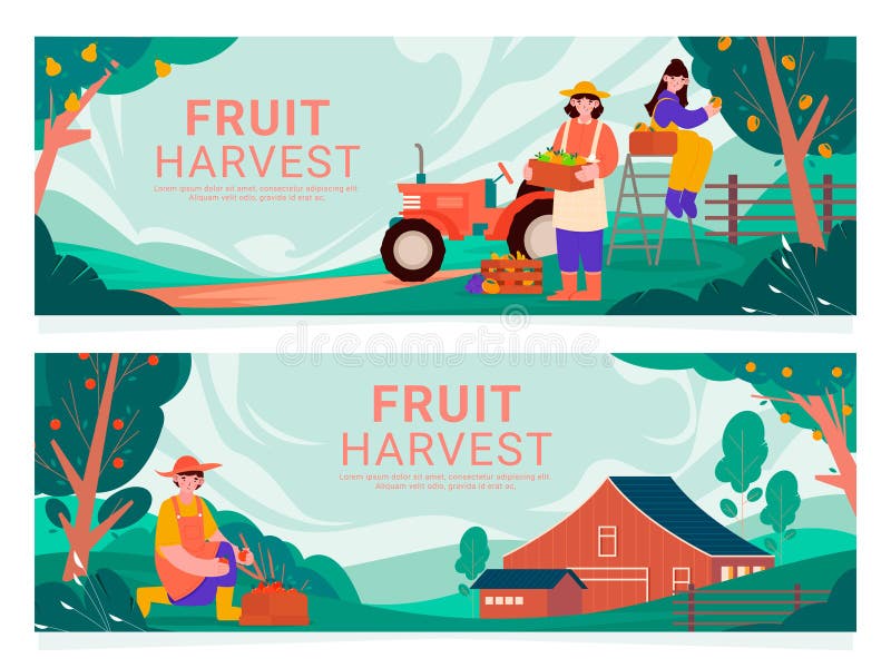 Hand Drawn Flat Fruit Harvest Banner Set Stock Illustration ...