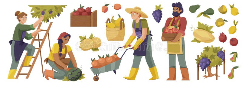 Hand Drawn Flat Fruit Harvest Elements Set Stock Illustration ...
