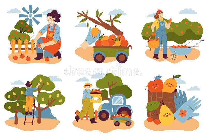 Hand Drawn Flat Fruit Harvest Mini Composition Set Stock Illustration ...