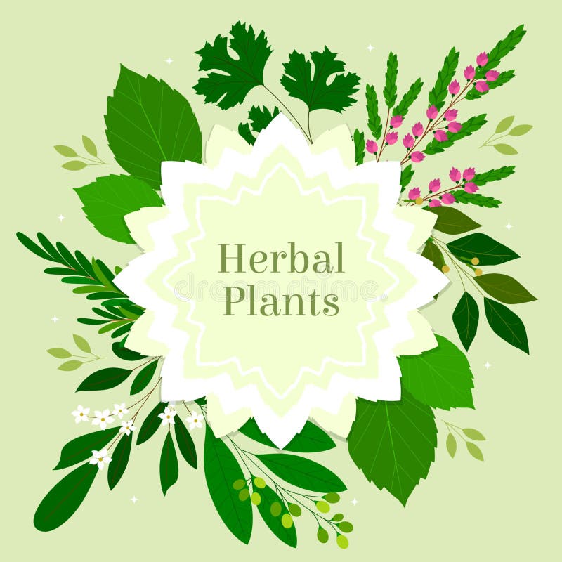 Macrovector - Photographer profile