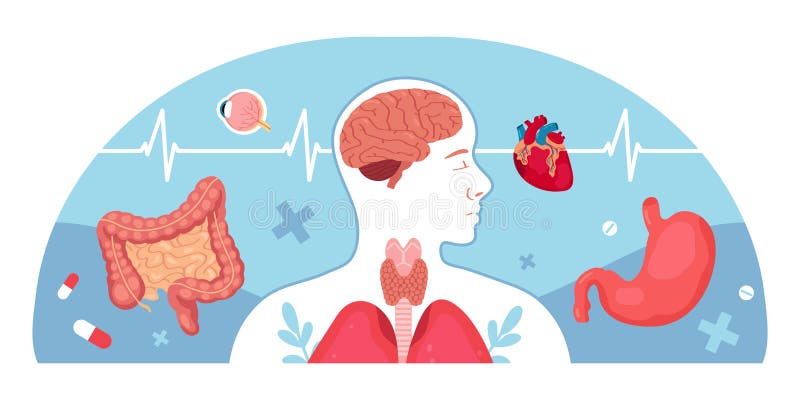 Hand Drawn Flat Human Body Composition Stock Illustration ...