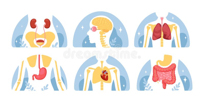 Hand Drawn Flat Human Body Mini Composition Collection Stock ...