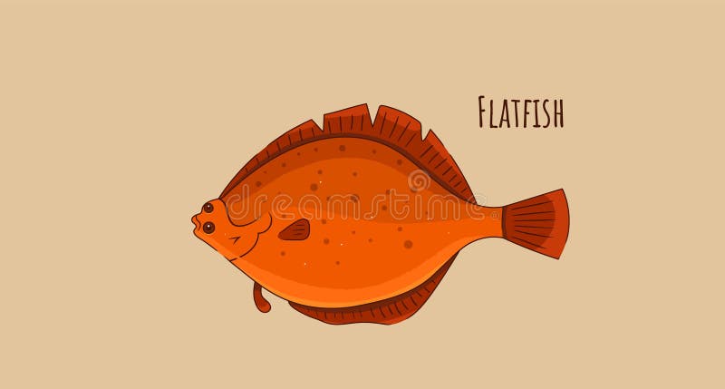 Flatfish. Hand Drawn Black Outline Vector Realistic Illustration Stock ...