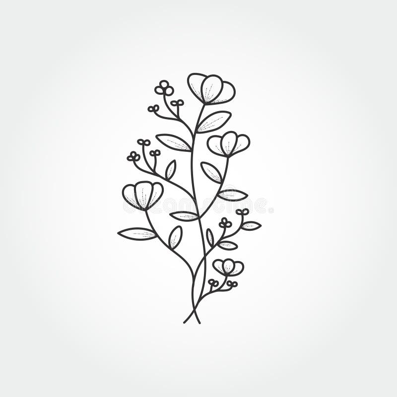 Hand Drawn Floral Botanical Line Art. Flower Line Art Design Vector ...