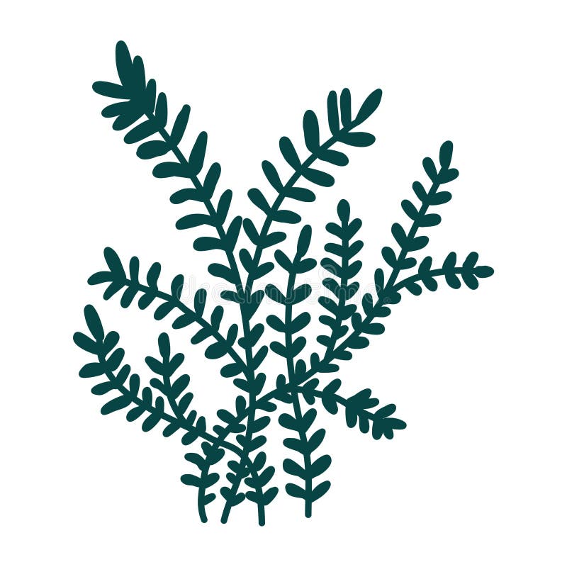 Hand Drawn Floral Composition. Doodle Stems. Vector Art. Botanical ...