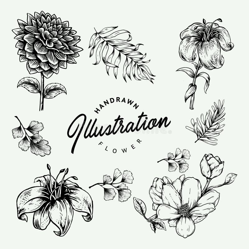 Hand Drawn Floral Decorative Elements Set Stock Illustration ...