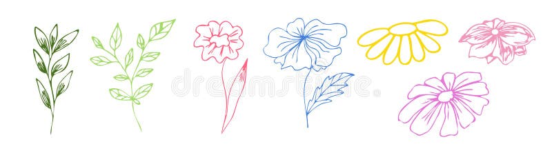 Hand Drawn Floral Elements. Plants Doodle Stock Vector - Illustration ...