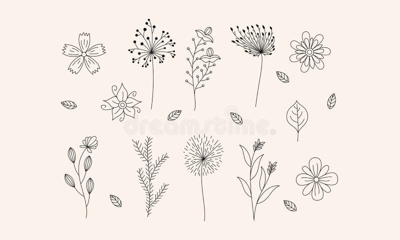Hand Drawn Flower And Branches Doodle Vector Stock Illustration