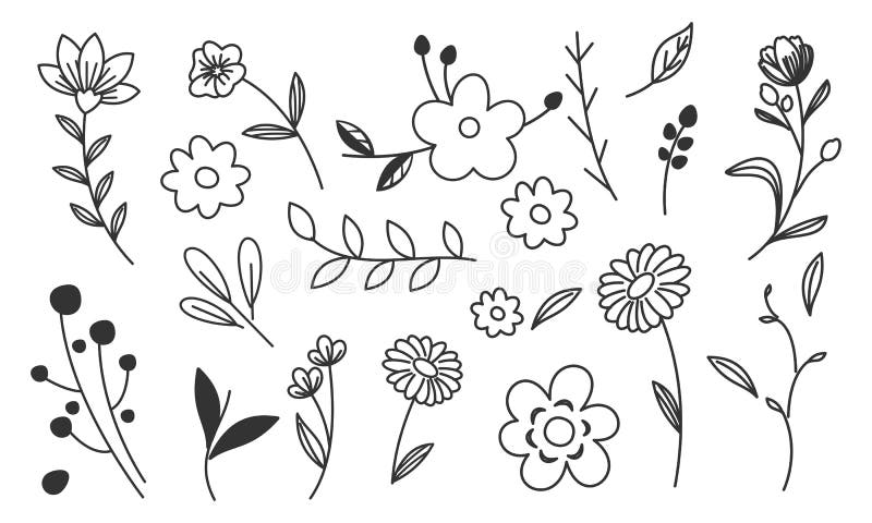 Hand Drawn Flower And Branches Doodle Vector Stock Illustration