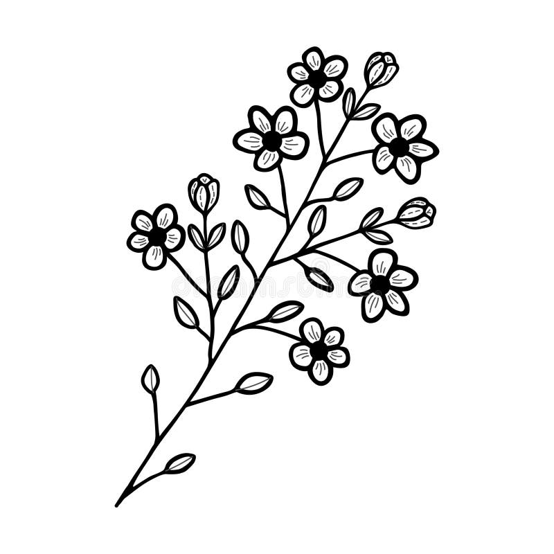 Hand Drawn Flower And Branches Doodle Vector Illustration Stock