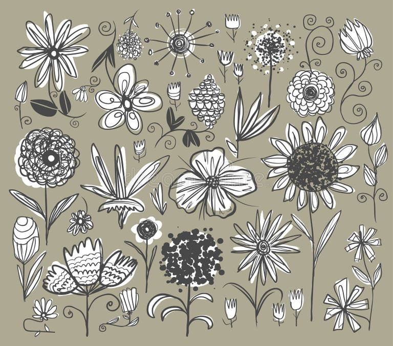 Hand drawn flowers stock vector. Illustration of flowers - 12161533