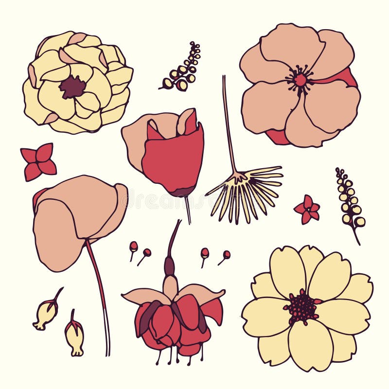 Hand drawn flowers set stock illustration. Illustration of blossom ...