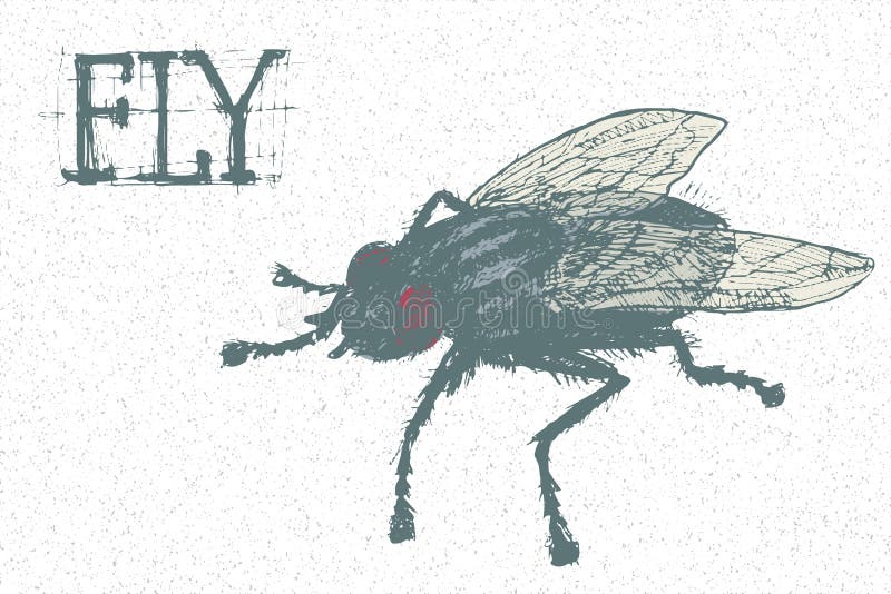 Angry Fly Stock Illustrations – 2,402 Angry Fly Stock Illustrations ...