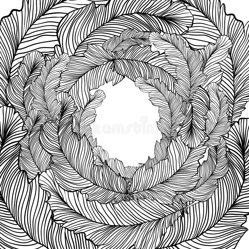 Hand Drawn Frame with Feathers. Stock Vector - Illustration of design ...