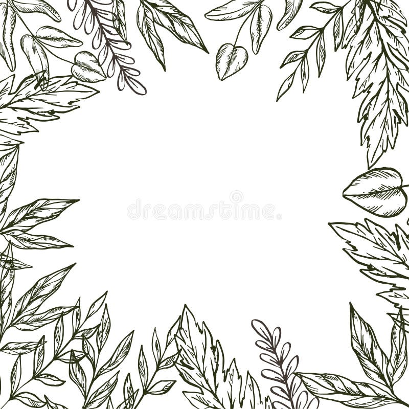 Hand Drawn Frame of Leaves and Plants. Vector Illustration Stock ...